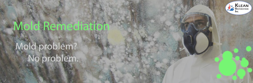 Indianapolis IN Mold Remediation Services | Home Mold Removal ...